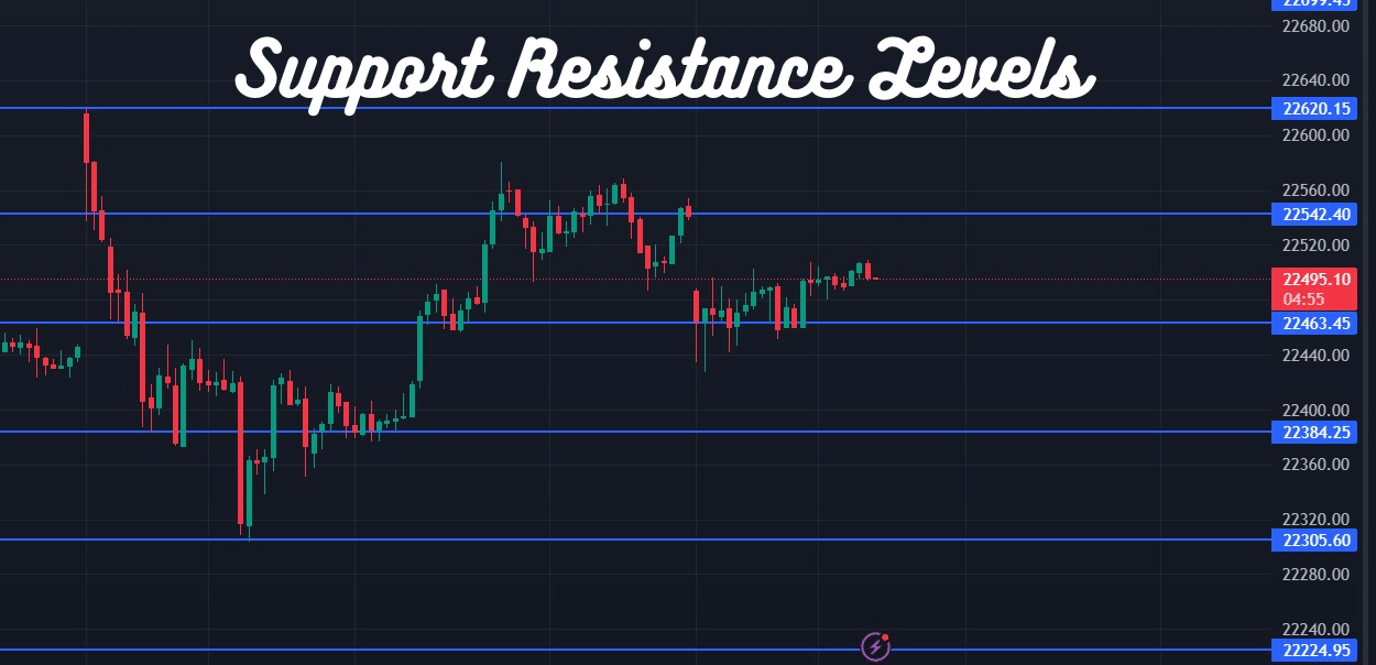 Role of Support Resistance Levels in Options Trading